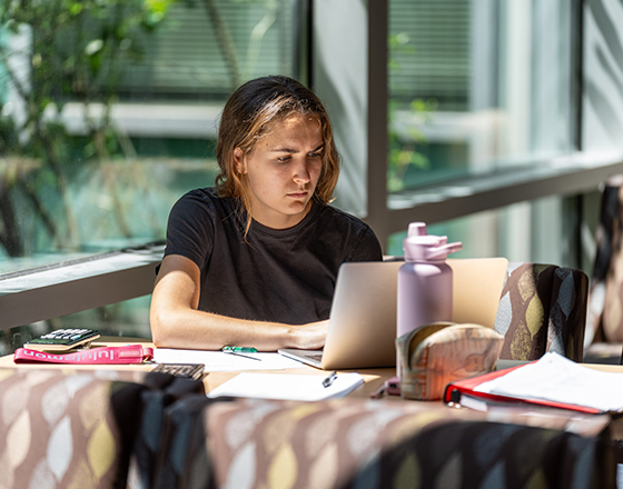 Services – Interactive eLearning for Students