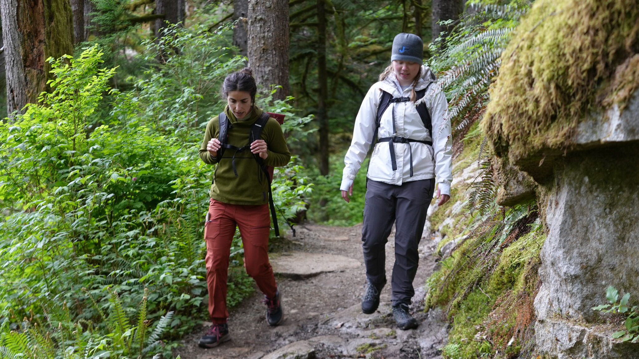 Mindfulness Outdoors: Middle Fork Snoqualmie Trail Adventure :: Wellness Center