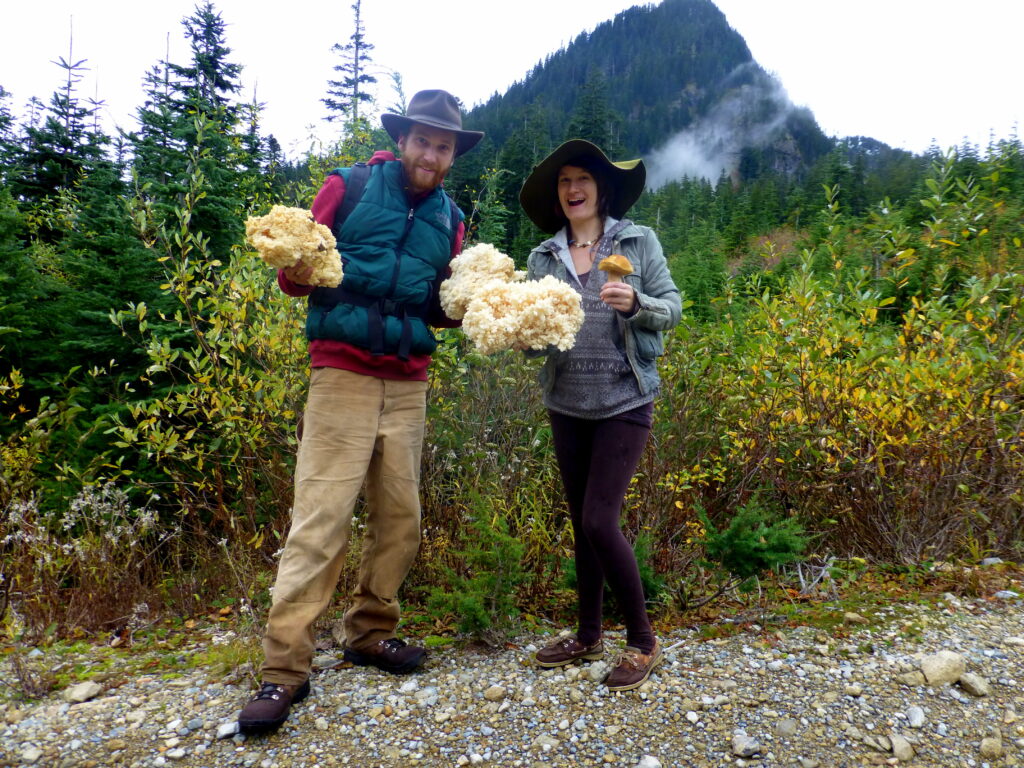 The Art of Mushroom Hunting :: Sustainability