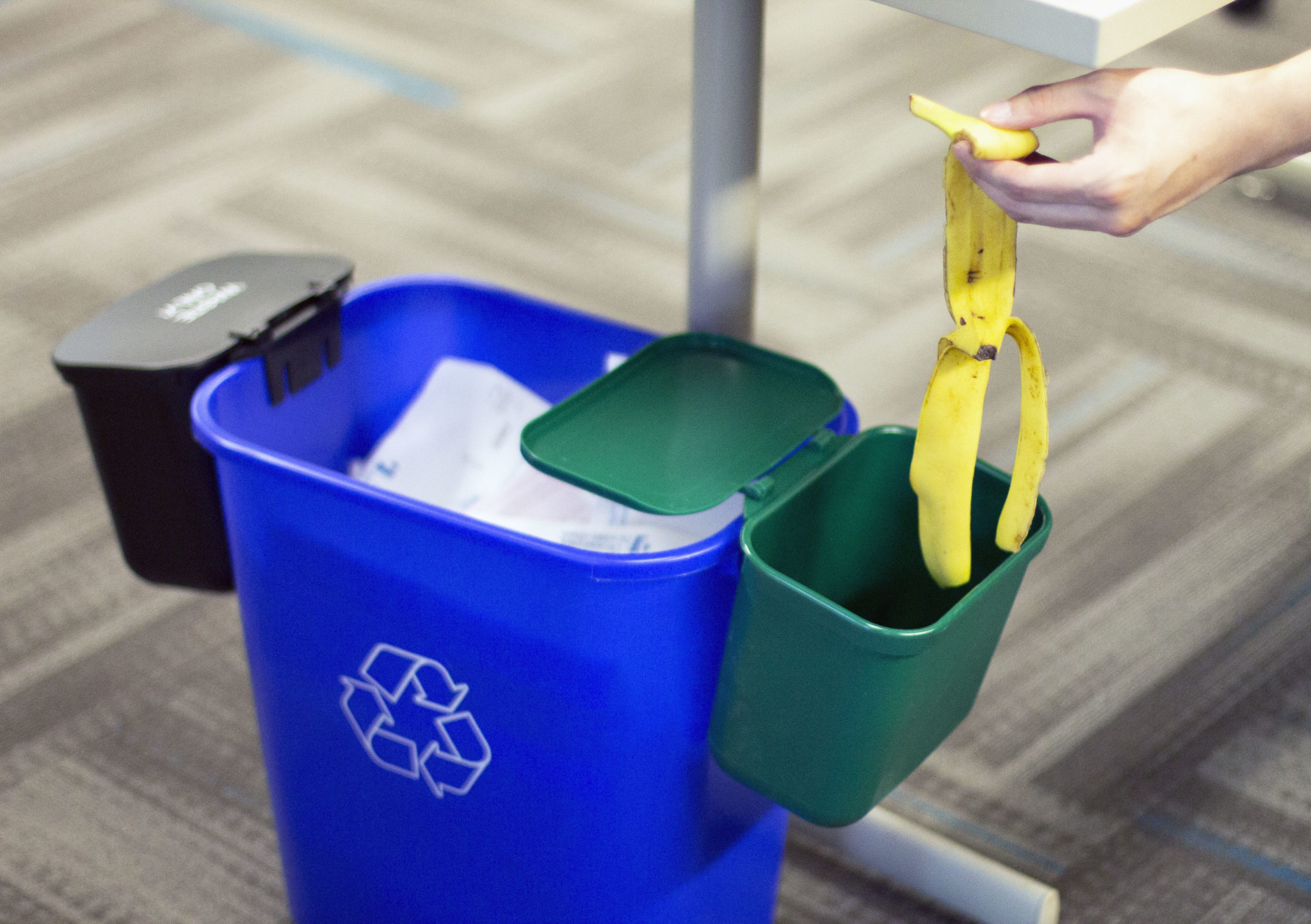 Mini-Max Program :: Sustainability