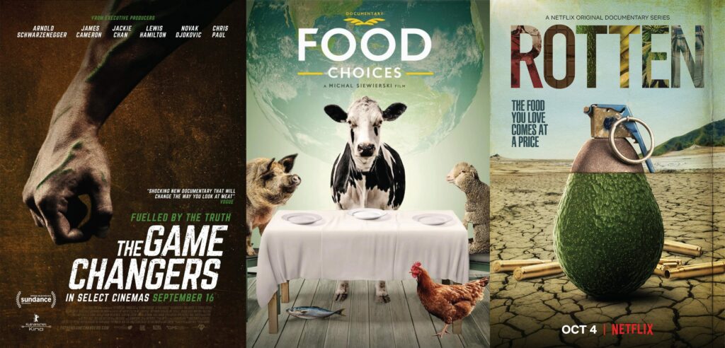 Couch Potato Film Festival :: Sustainability