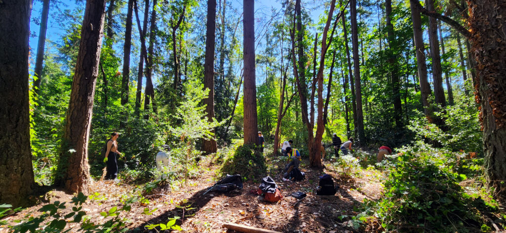 Robinswood Park Forest Restoration Recap :: Sustainability