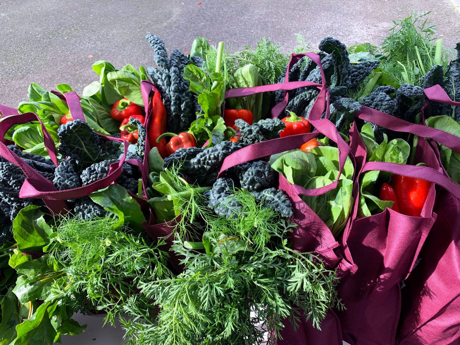 Community Supported Agriculture Boxes :: Sustainability