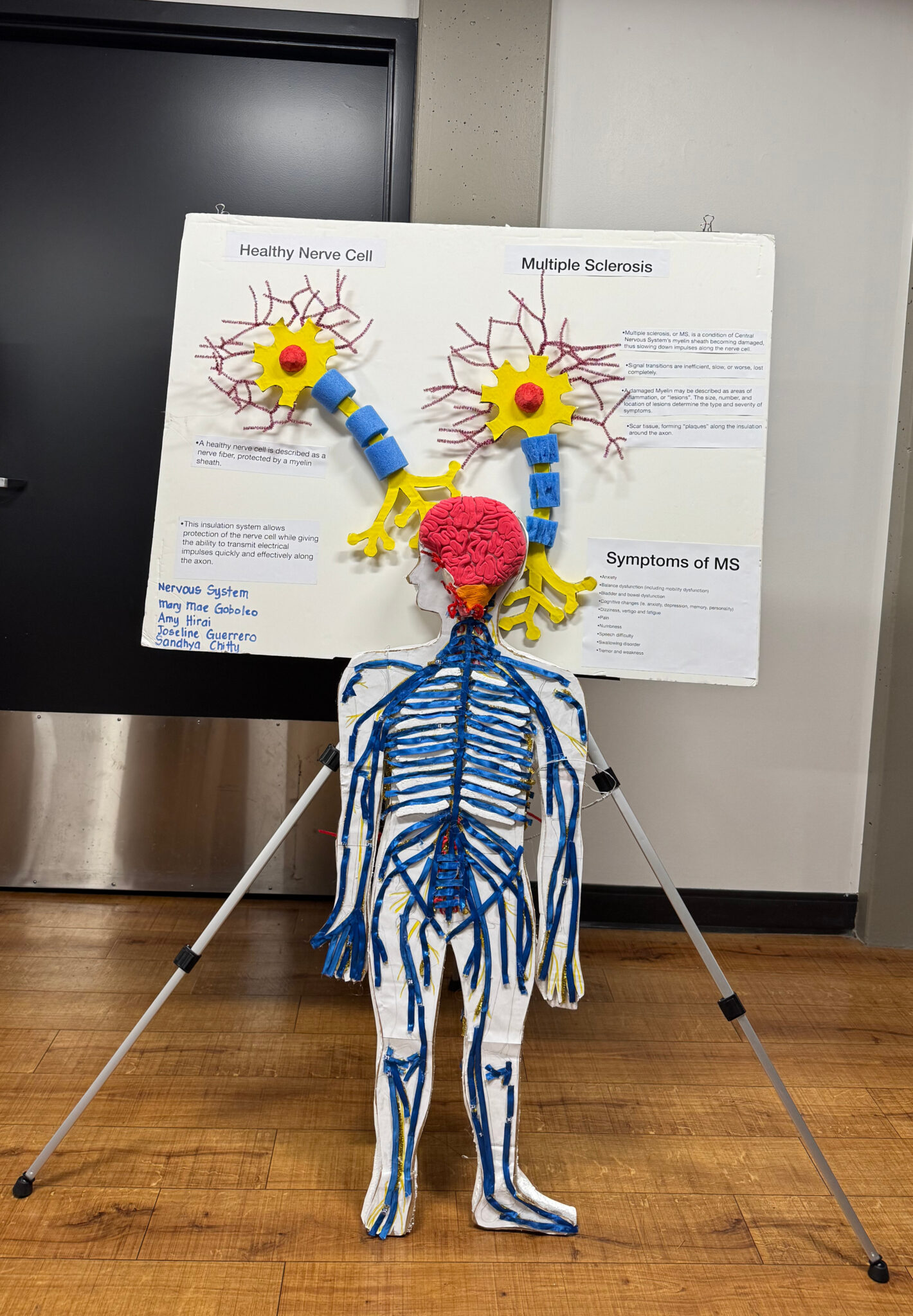 Making Learning Visible, Fall 2024: Celebrations of Teaching and ...