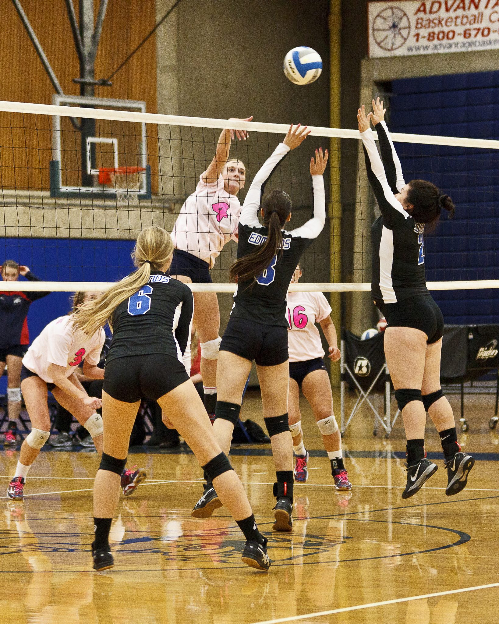 BC Volleyball 2014 :: Athletics Department