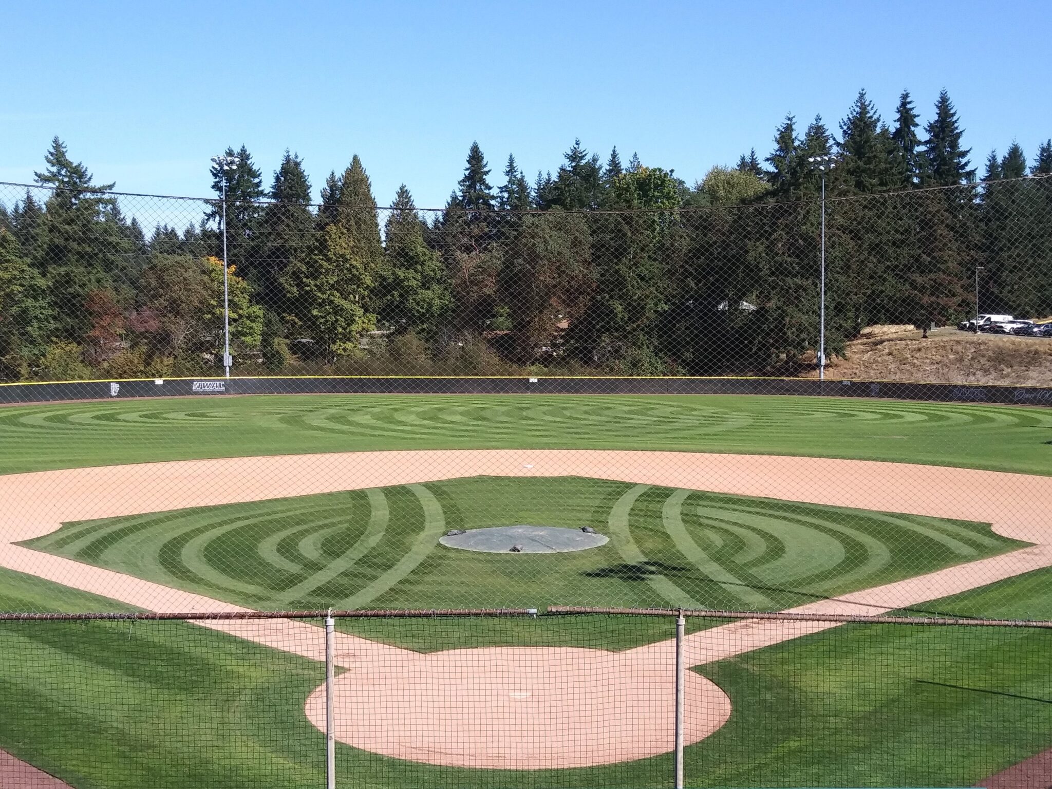 Courter Baseball Field • Bellevue College Athletics