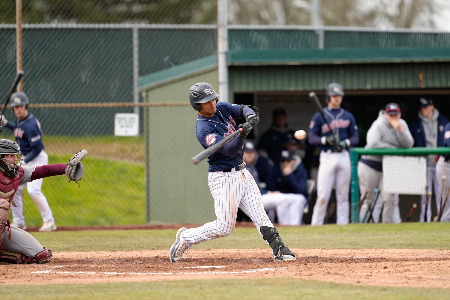 Baseball Wins Three of Four in Pierce Series :: Athletics Department