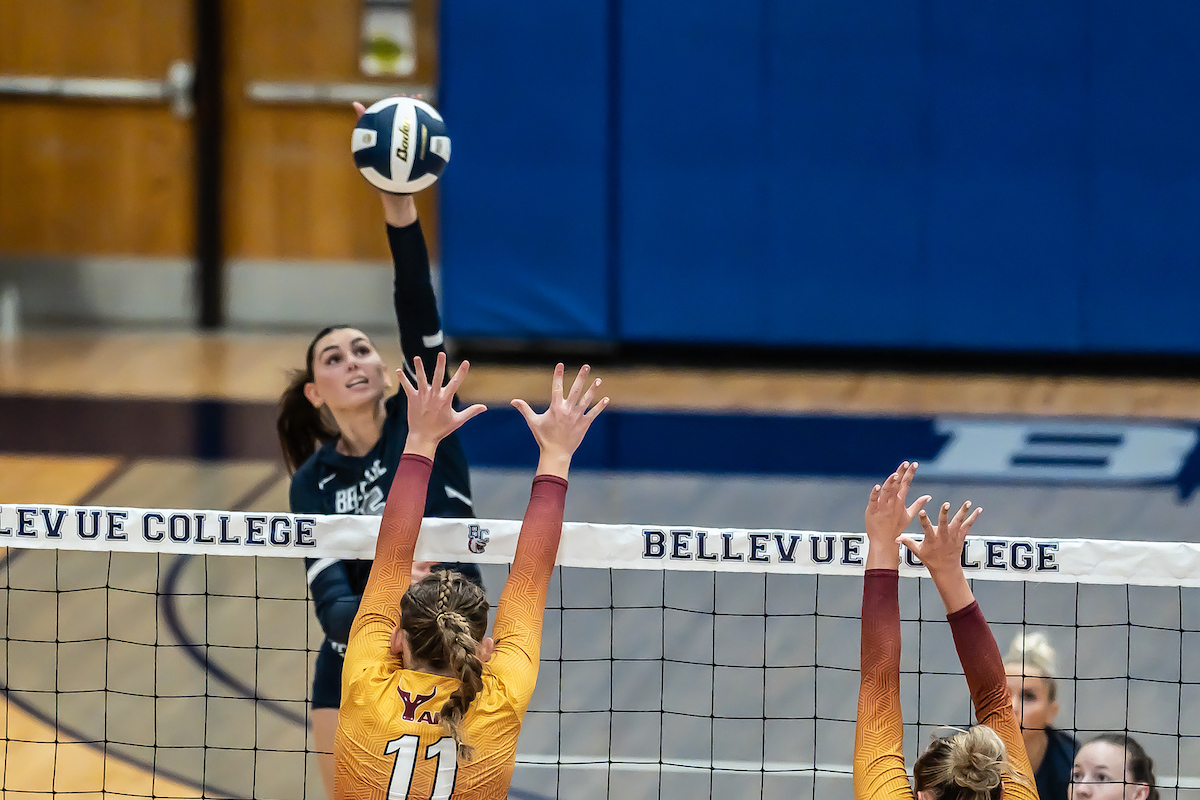 Bulldog Volleyball Rolls :: Athletics Department