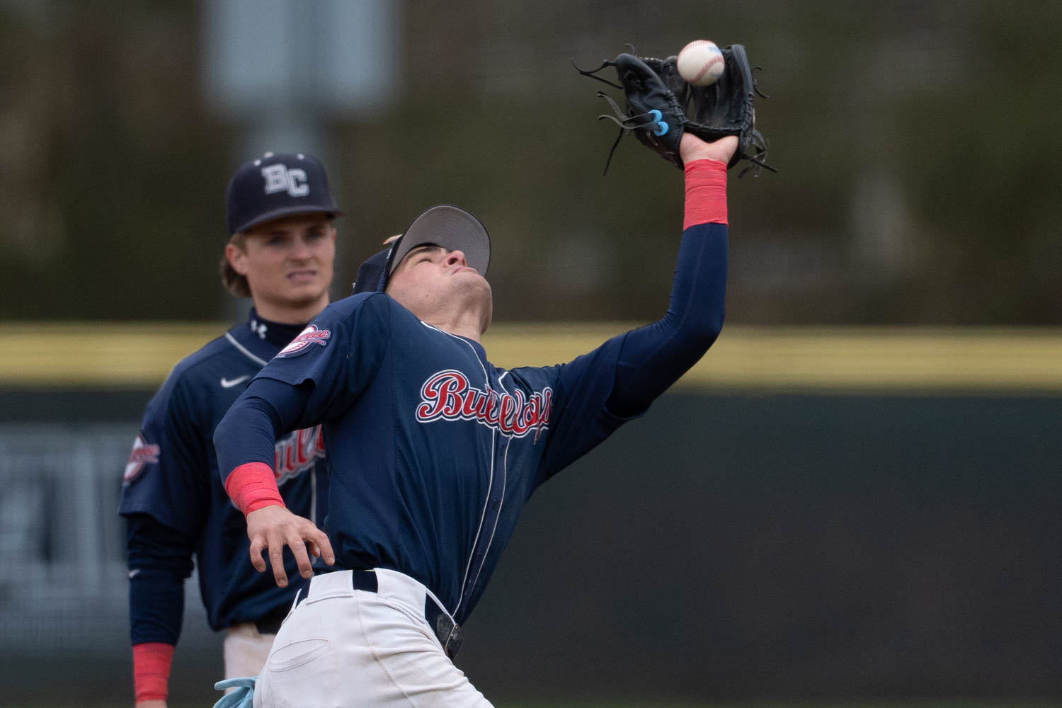 Baseball Takes Series Over Pierce :: Athletics Department