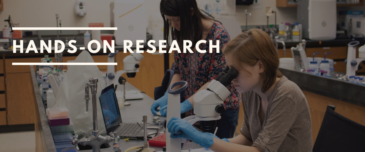 Molecular Biosciences @ Bellevue College